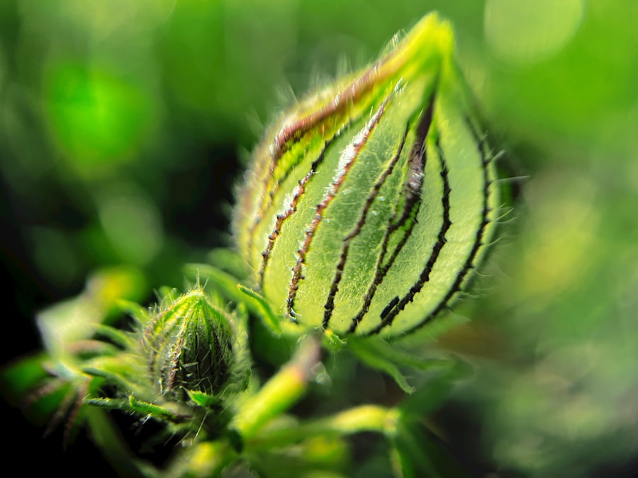 Monsanto's Seed Patents: Controversy and Control